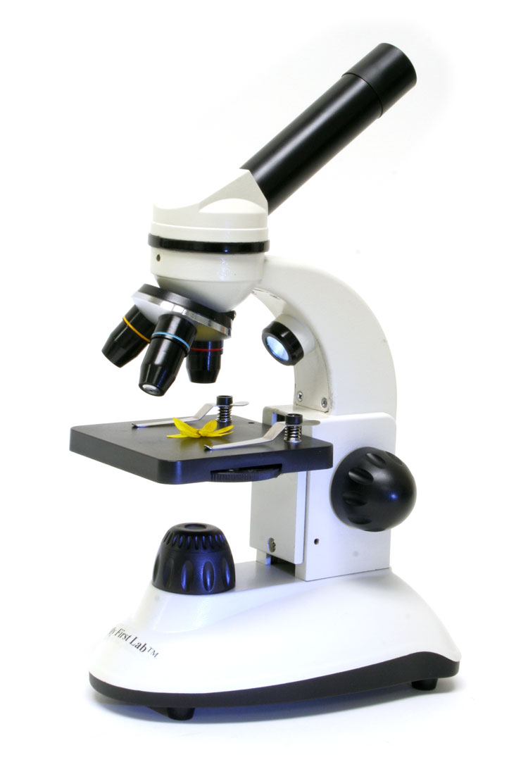 Ud Virtual Compound Microscope